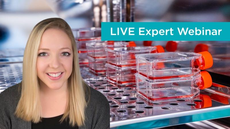 How to Ensure viable Outcomes with Accurate CO2/RH/T Incubator Measurements | Vaisala